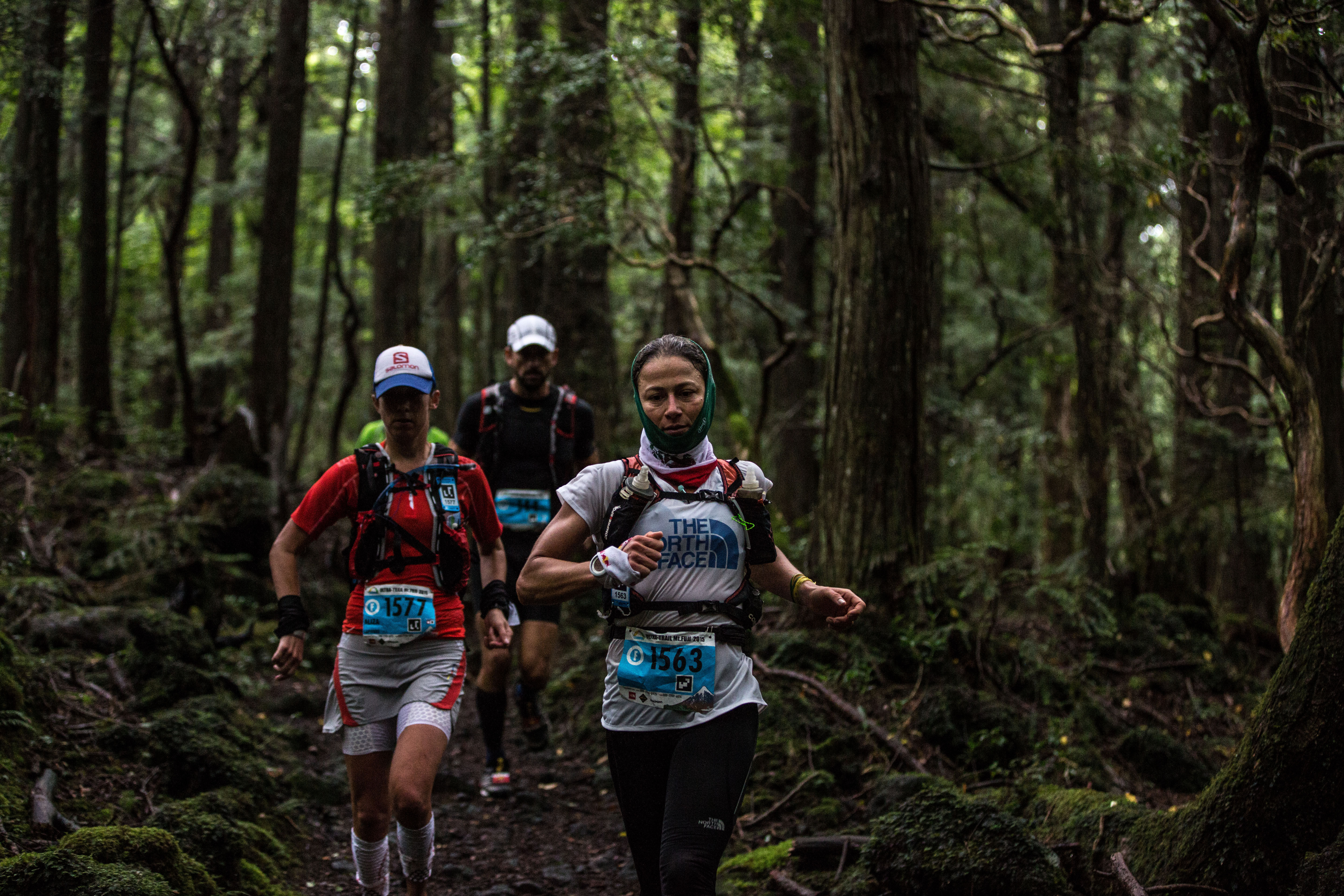Ultra-Trail®Mt.Fuji - Fujisan - 28.04.2018, 00:00 - kingrunner.com